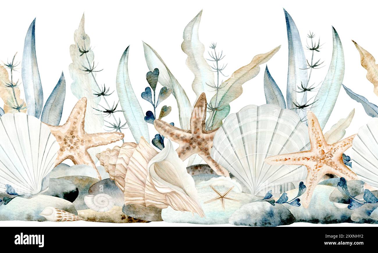 Starfish And Seaweed Border Clip Art