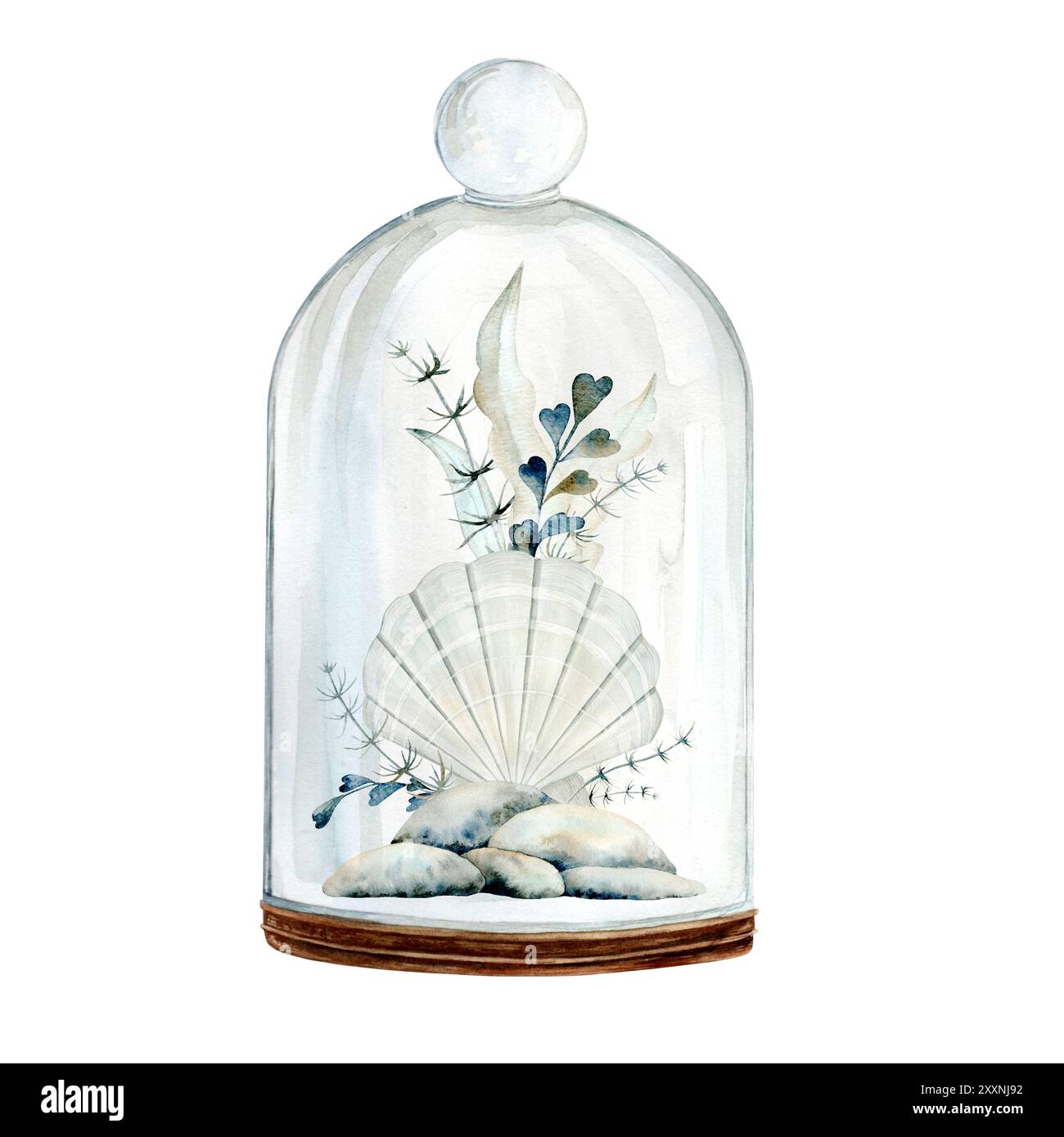 Beige sea shells, pebbles and seaweed in glass dome cloche watercolor ...