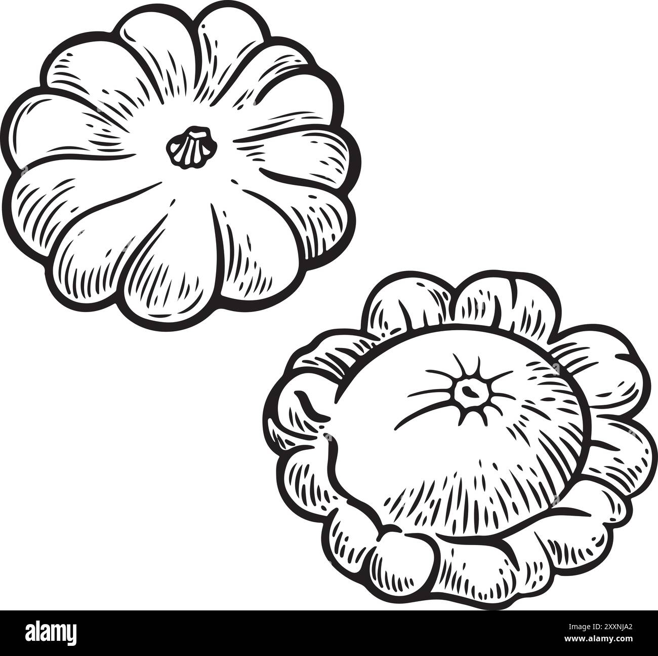 Engraved patty pans hand drawn vector illustration Stock Vector Image ...