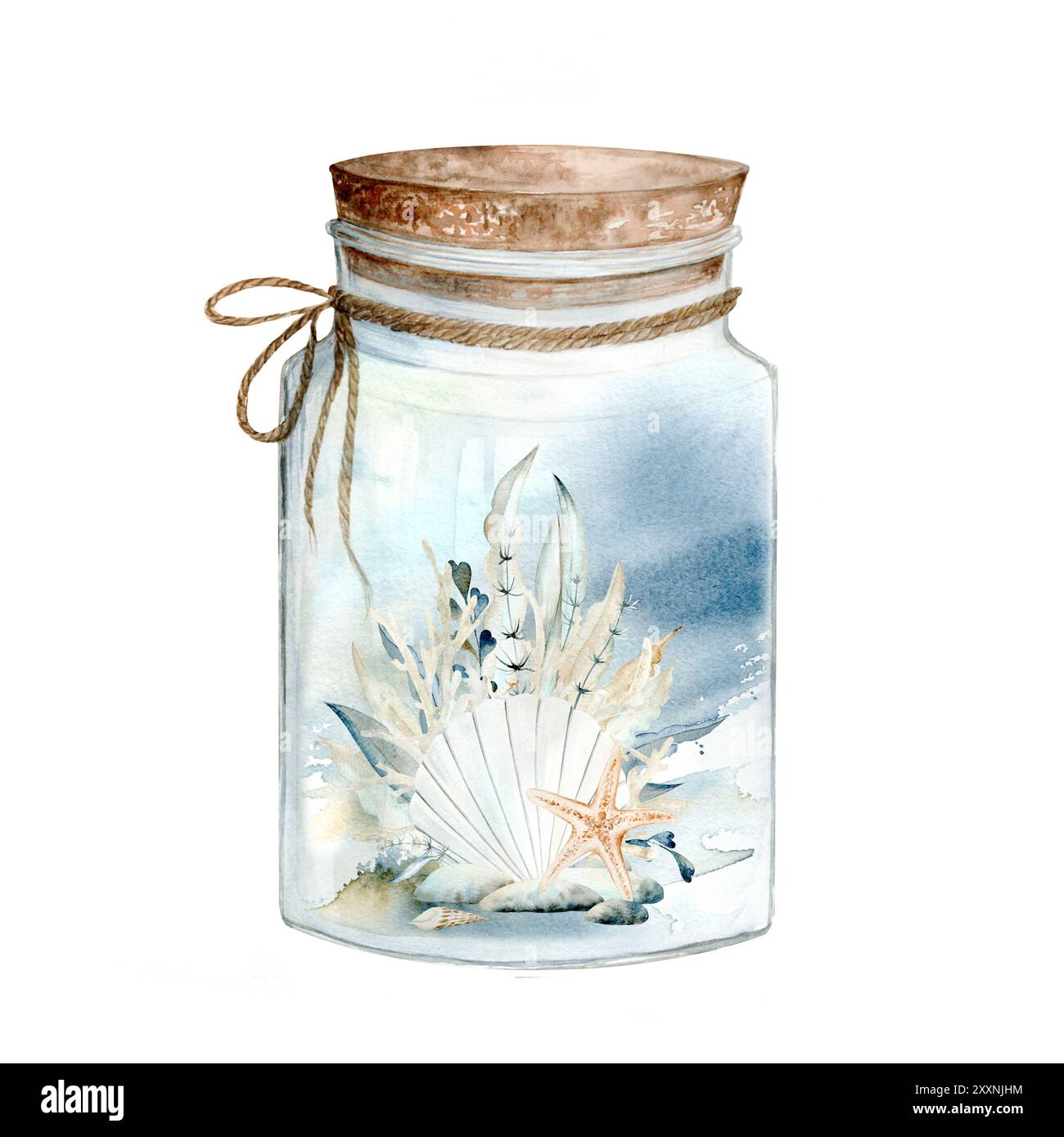 Sea shells, seaweed, pebbles in a glass jar. Isolated drawing on white ...