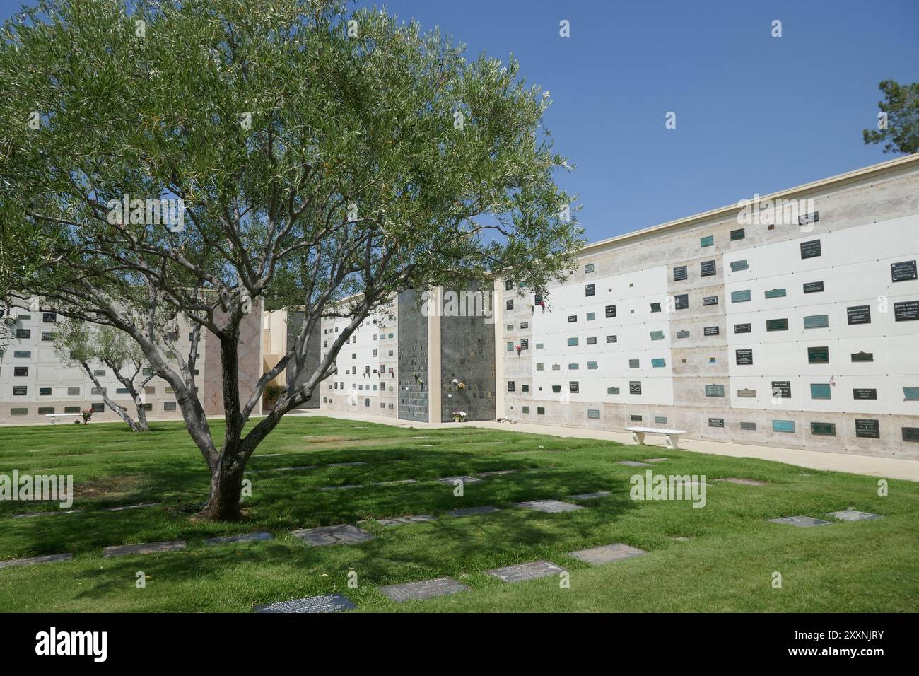 Nathan cary hi-res stock photography and images - Alamy