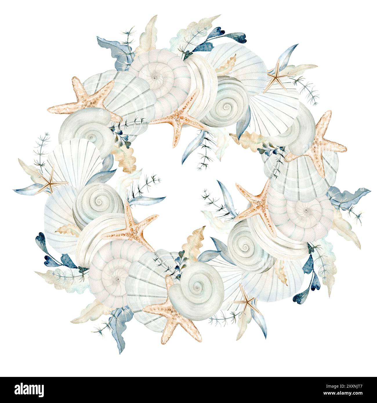 Wreath of beige sea shells, stars and seaweed watercolor illustration ...