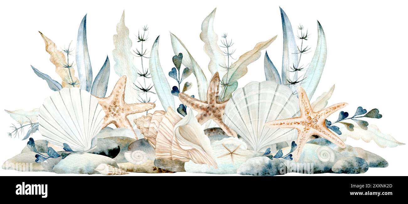 Composition of sea shells, pebbles and seaweed watercolor drawing. Hand ...