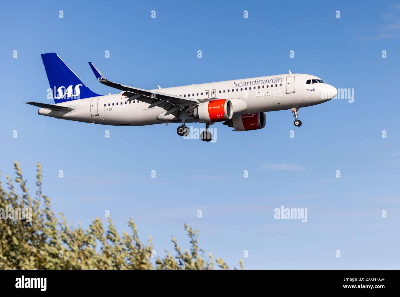 Sif symbol hi-res stock photography and images - Alamy