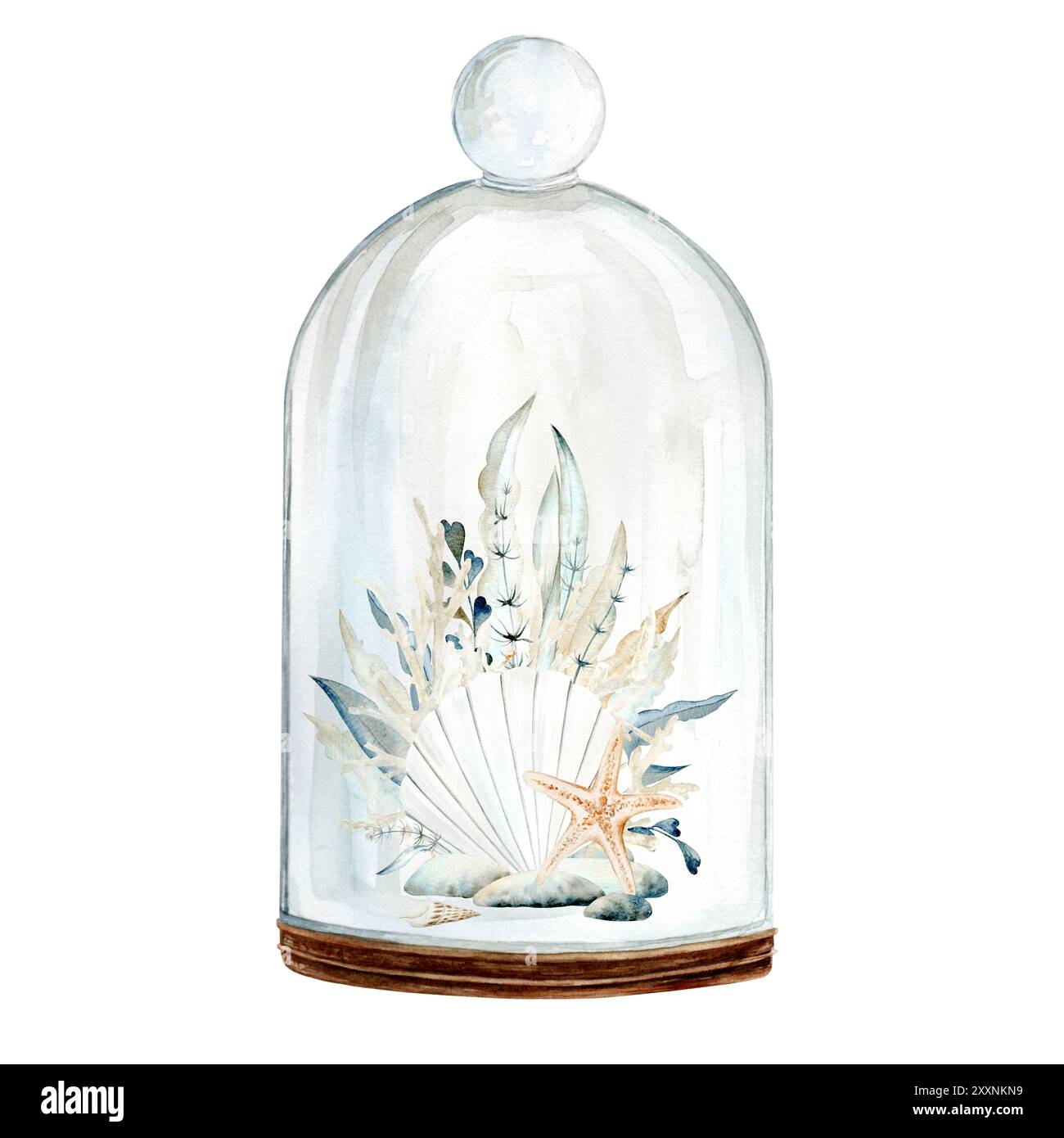 Beige sea shells, pebbles and seaweed in glass dome cloche watercolor ...