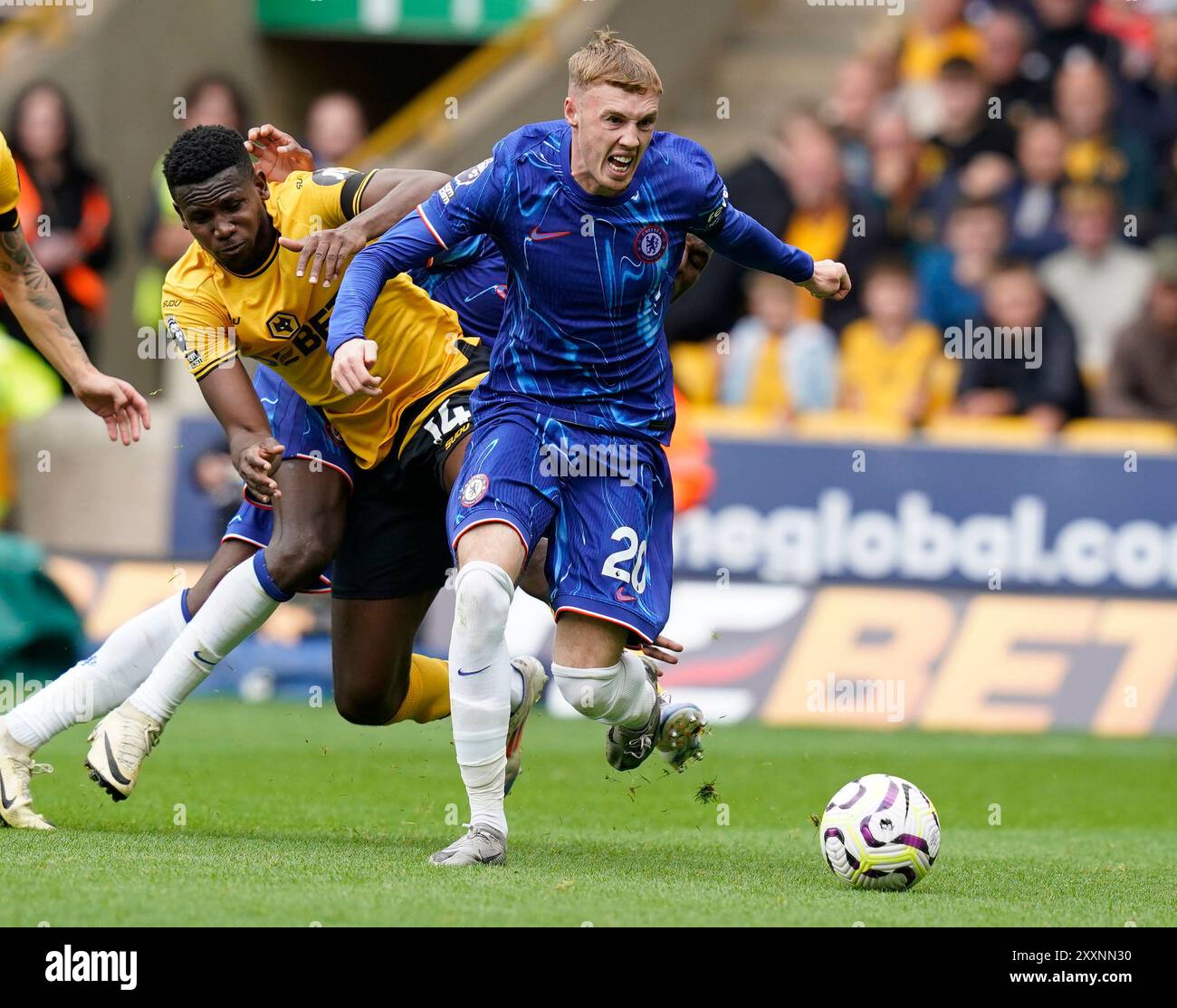 Chelsea cole palmer 2024 hi-res stock photography and images - Alamy