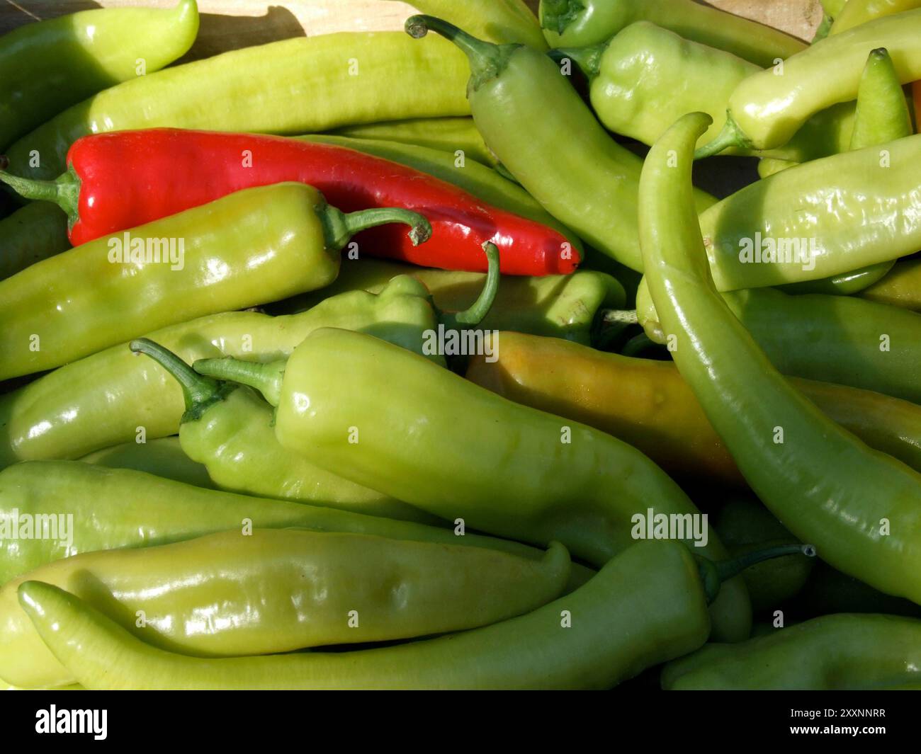 Long green pepper hi-res stock photography and images - Alamy