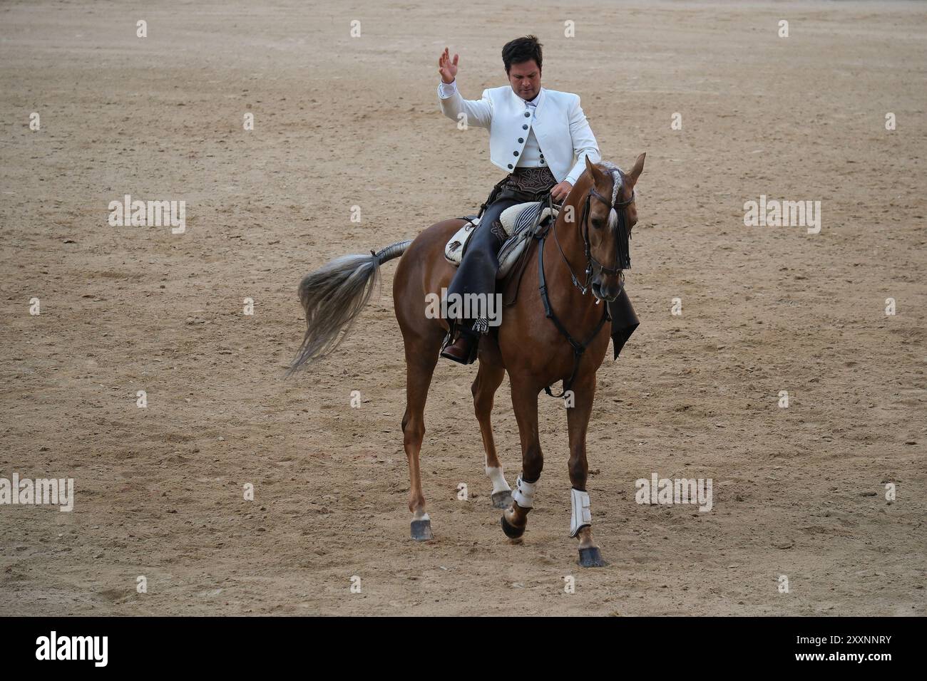 The rejoneador Sergio Domínguez fights the bull during a corrida de ...