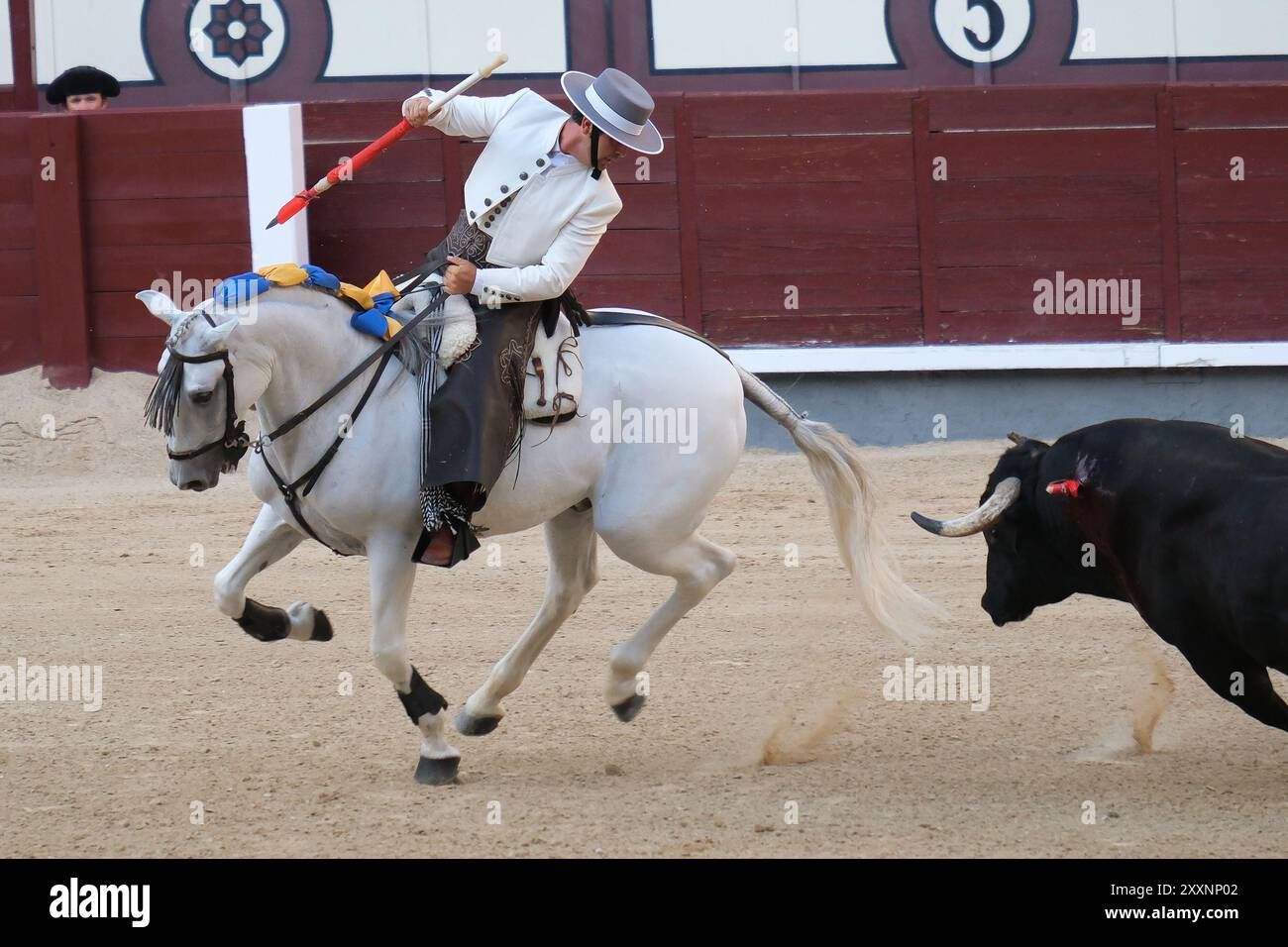 The rejoneador Sergio Domínguez fights the bull during a corrida de ...