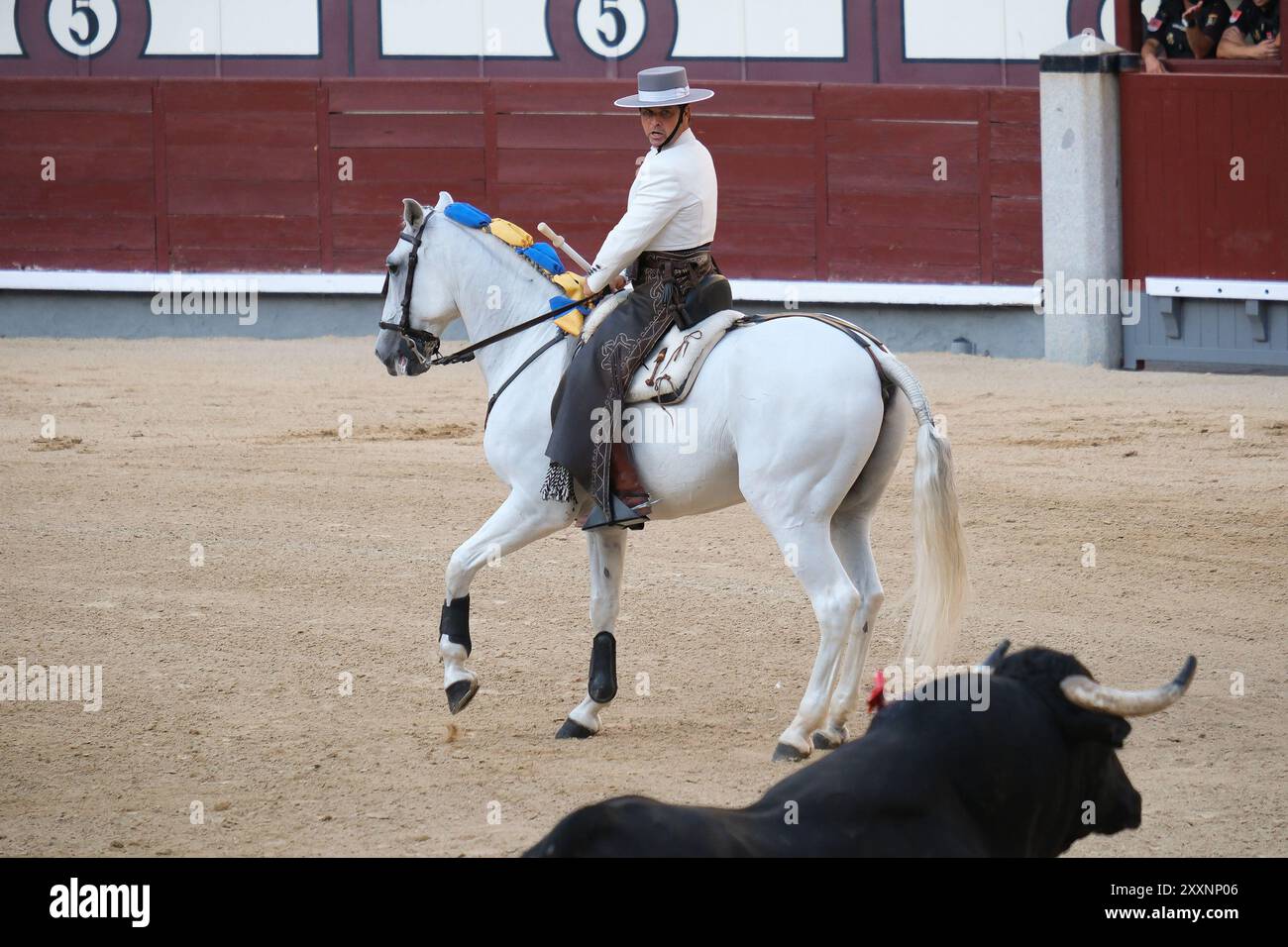 The rejoneador Sergio Domínguez fights the bull during a corrida de ...