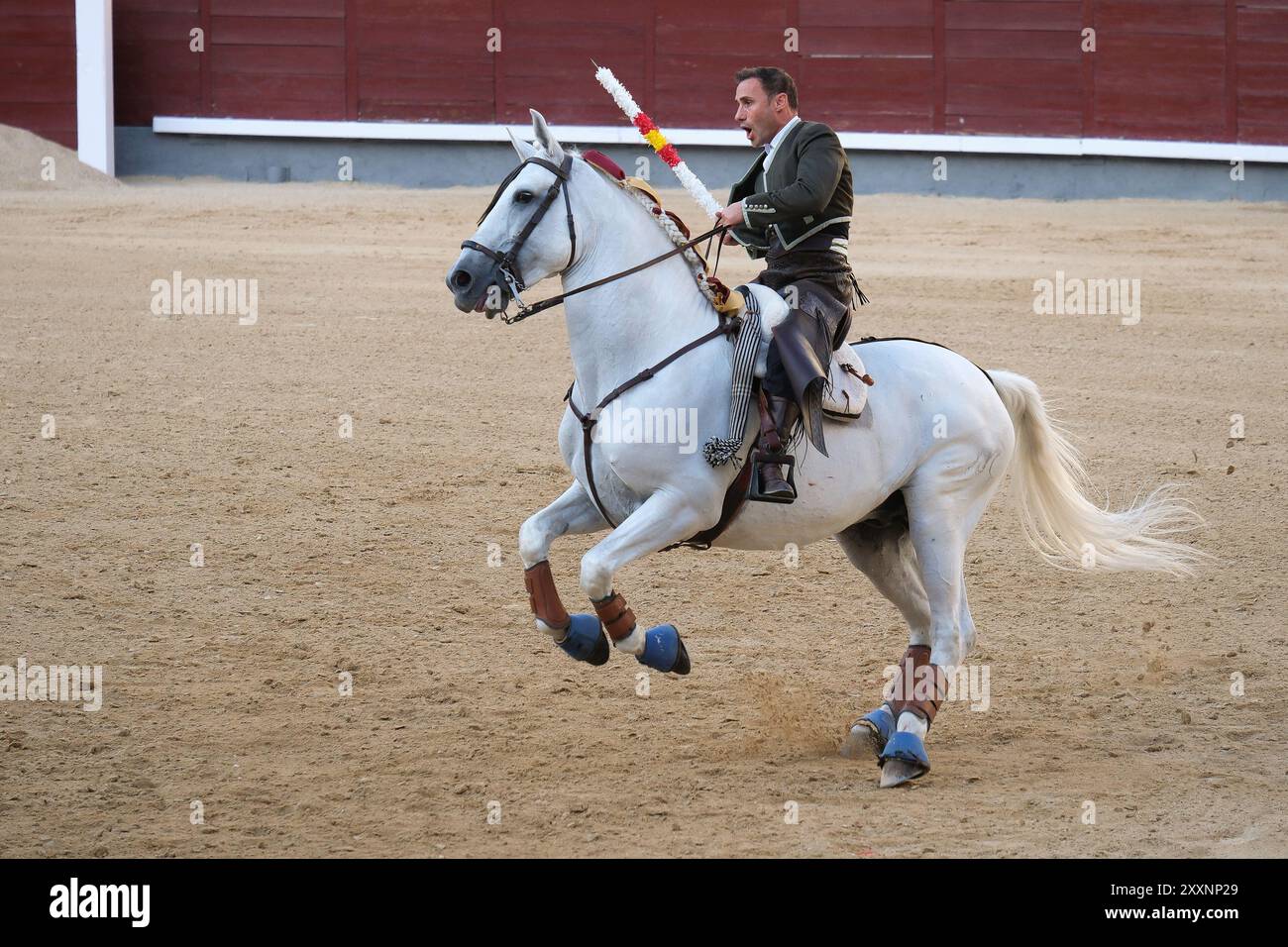 The rejoneador José Miguel Callejón fights the bull during a corrida de ...