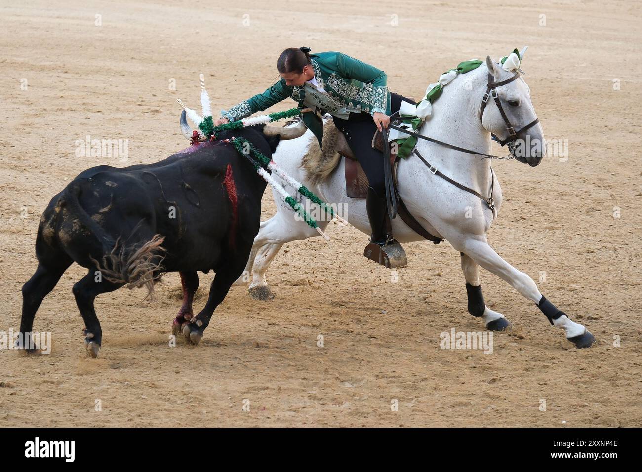 The rejoneador Ana Rita fights the bull during a corrida de rejones in ...