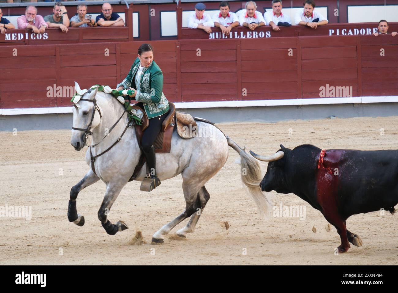 The rejoneador Ana Rita fights the bull during a corrida de rejones in ...