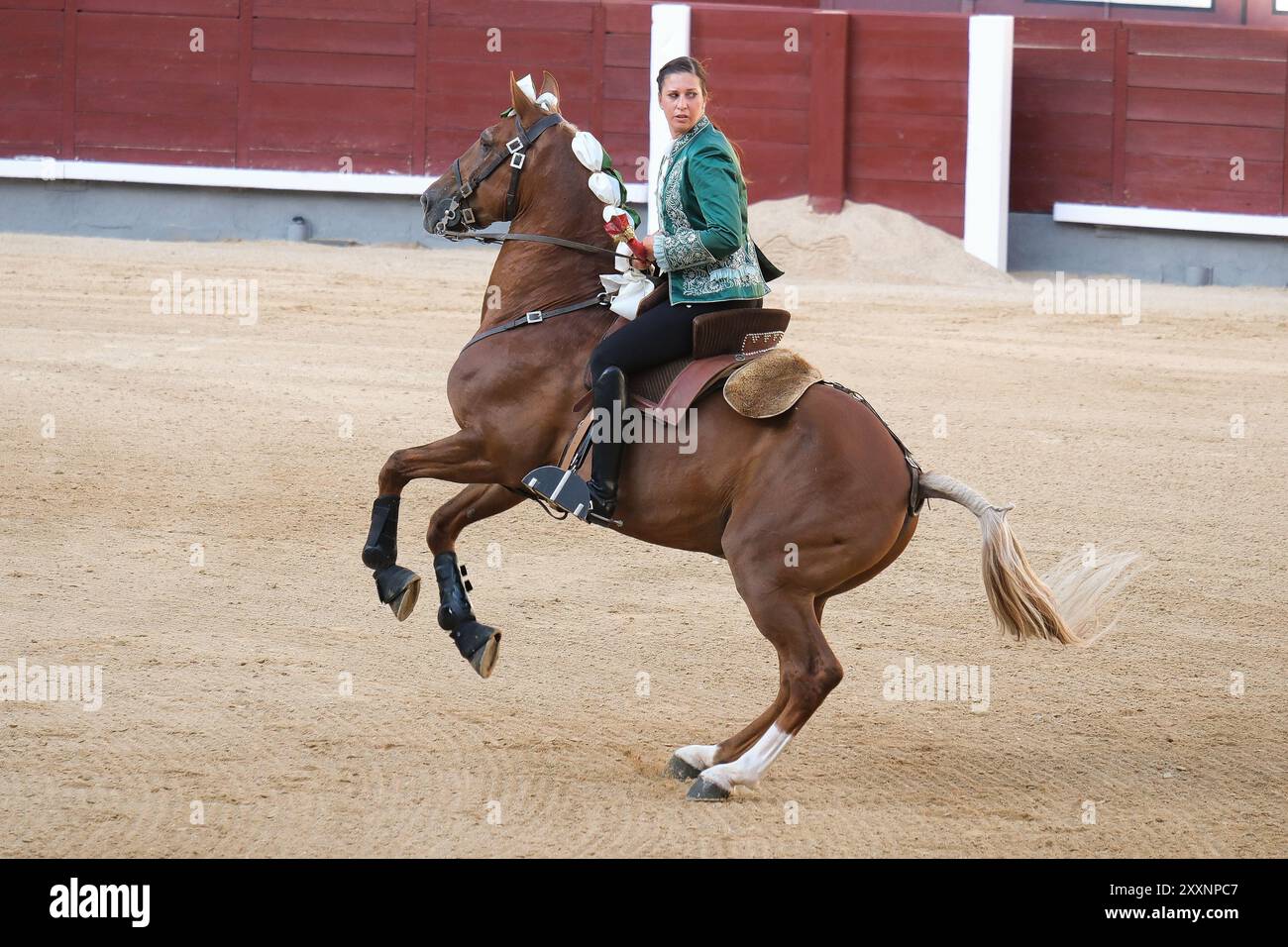 The rejoneador Ana Rita fights the bull during a corrida de rejones in ...