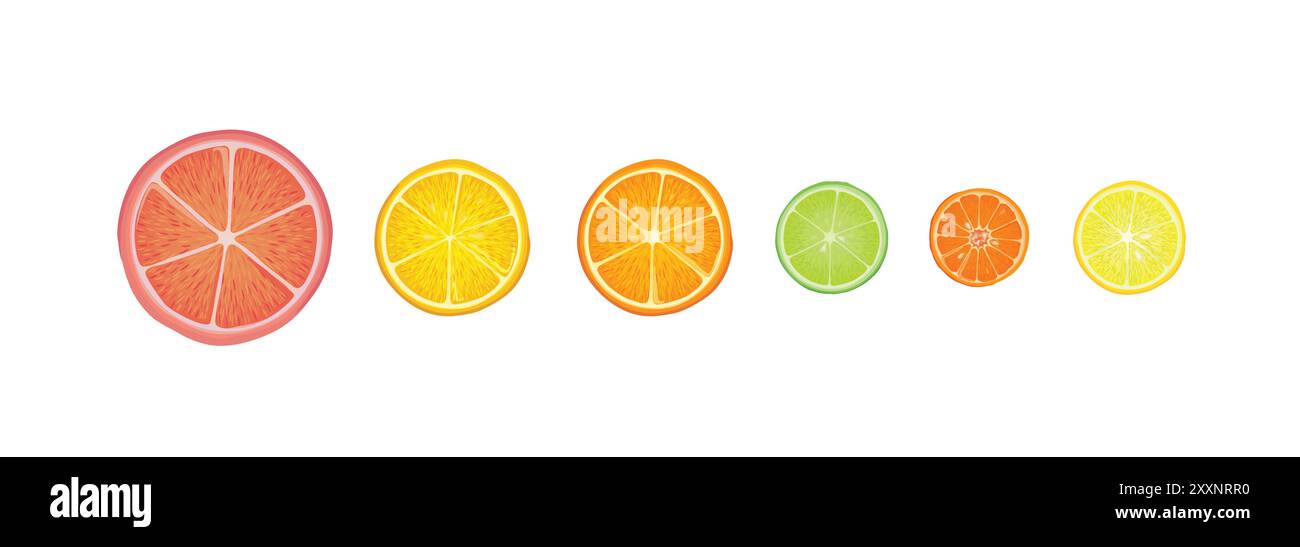 Citrus fruits set. Lemon, lime, citron, orange, mandarin and grapefruit slice pieces isolated ...