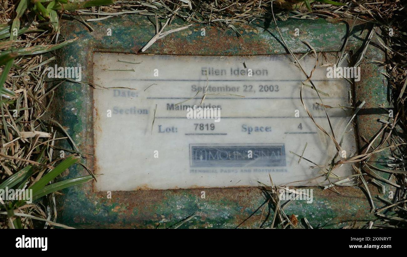 Los Angeles, California, USA 23rd August 2024 Actress/Screenwriter ...