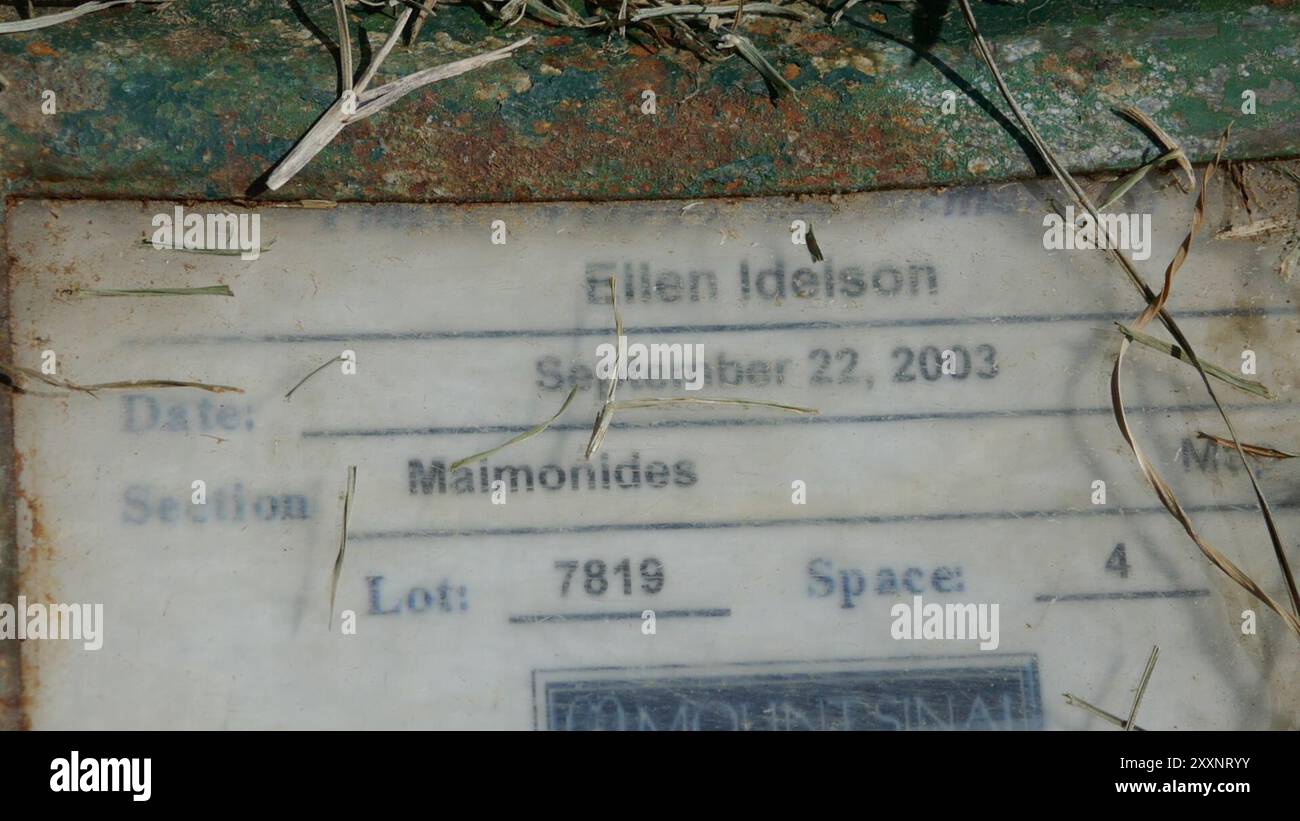 Los Angeles, California, USA 23rd August 2024 Actress/Screenwriter ...