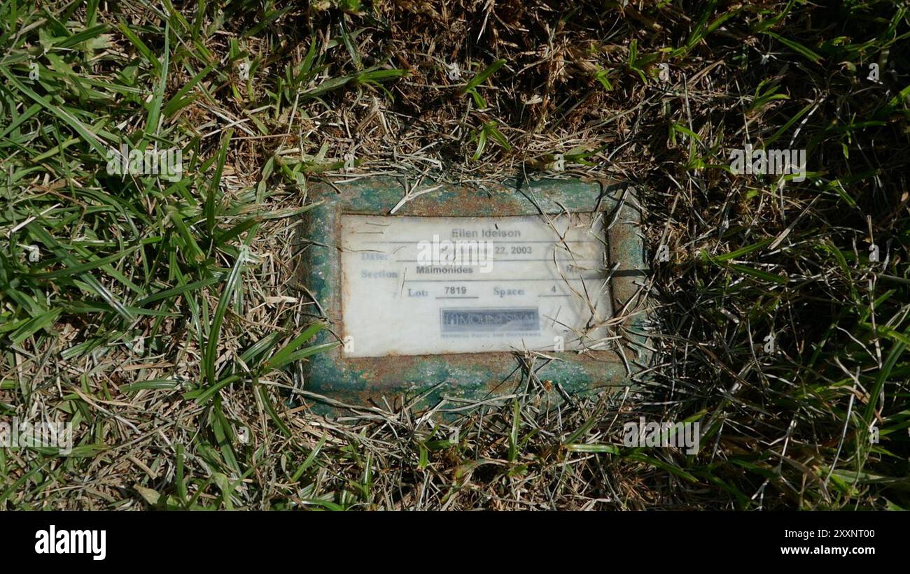 Los Angeles, California, USA 23rd August 2024 Actress/Screenwriter ...