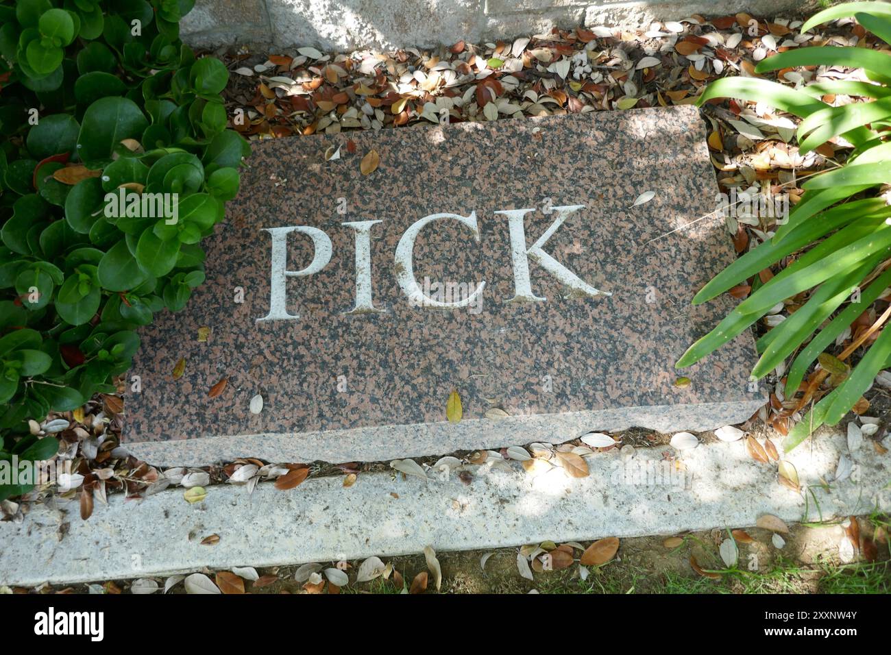 Los Angeles, California, USA 23rd August 2024 Actress Claudette Nevins ...