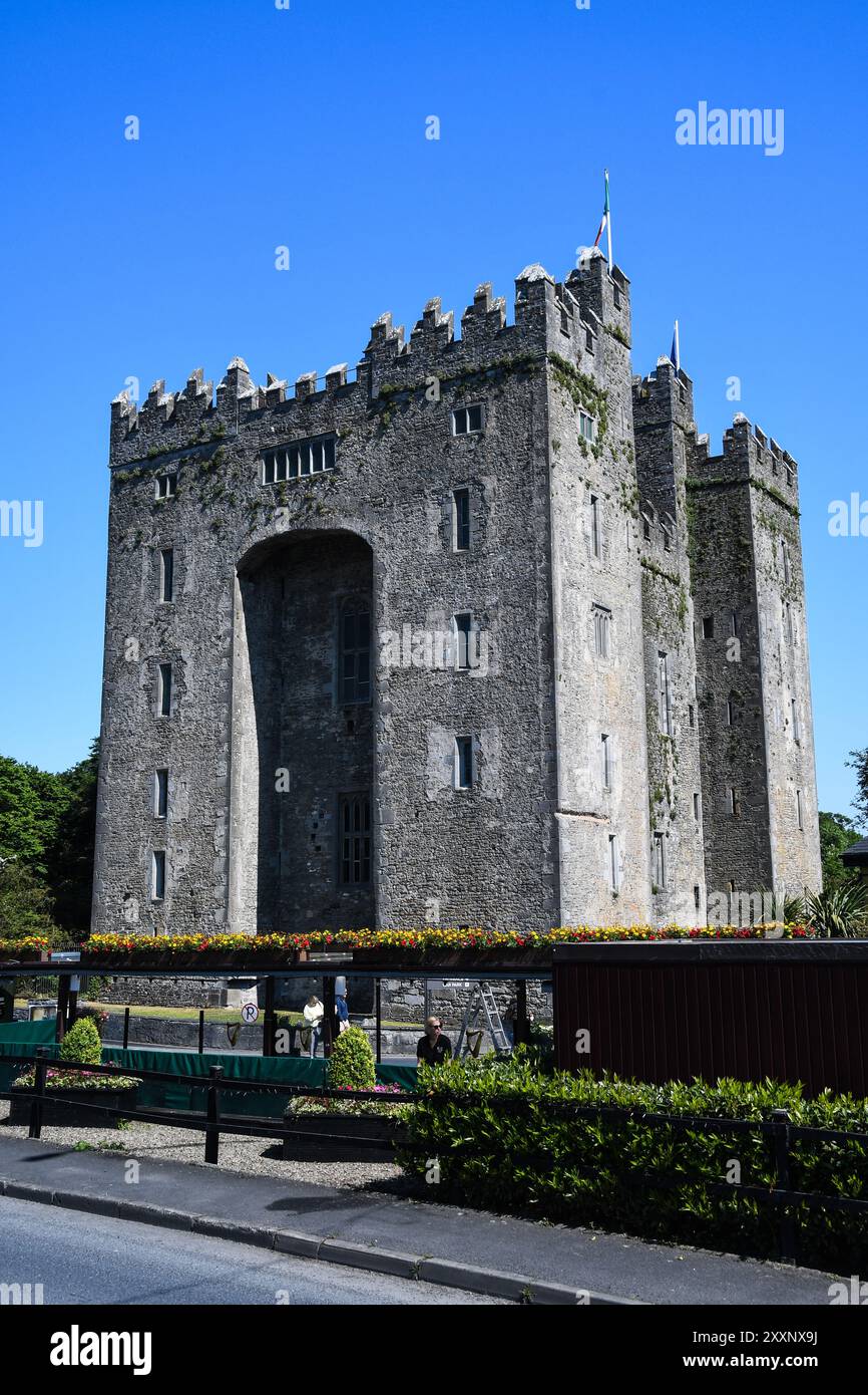 Medieval banquet at bunratty hi-res stock photography and images - Alamy