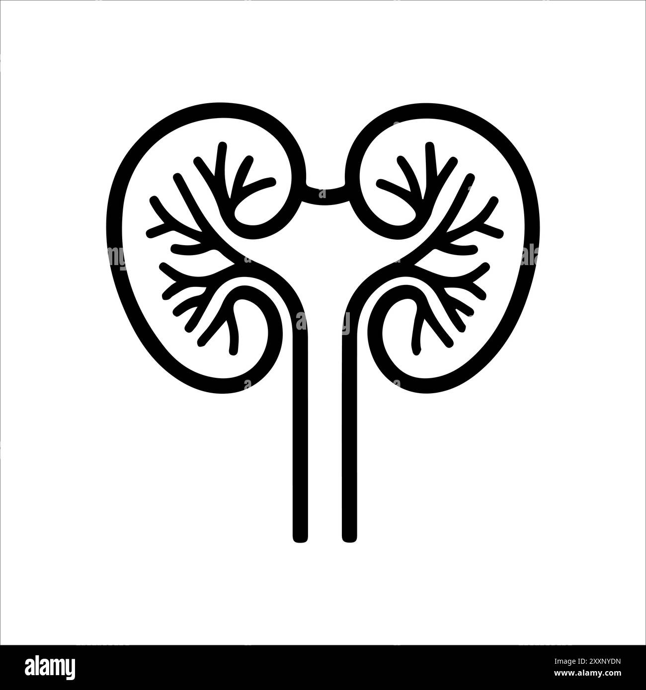 Kidneys icon or modern line symbol. Vector line art and icon design ...