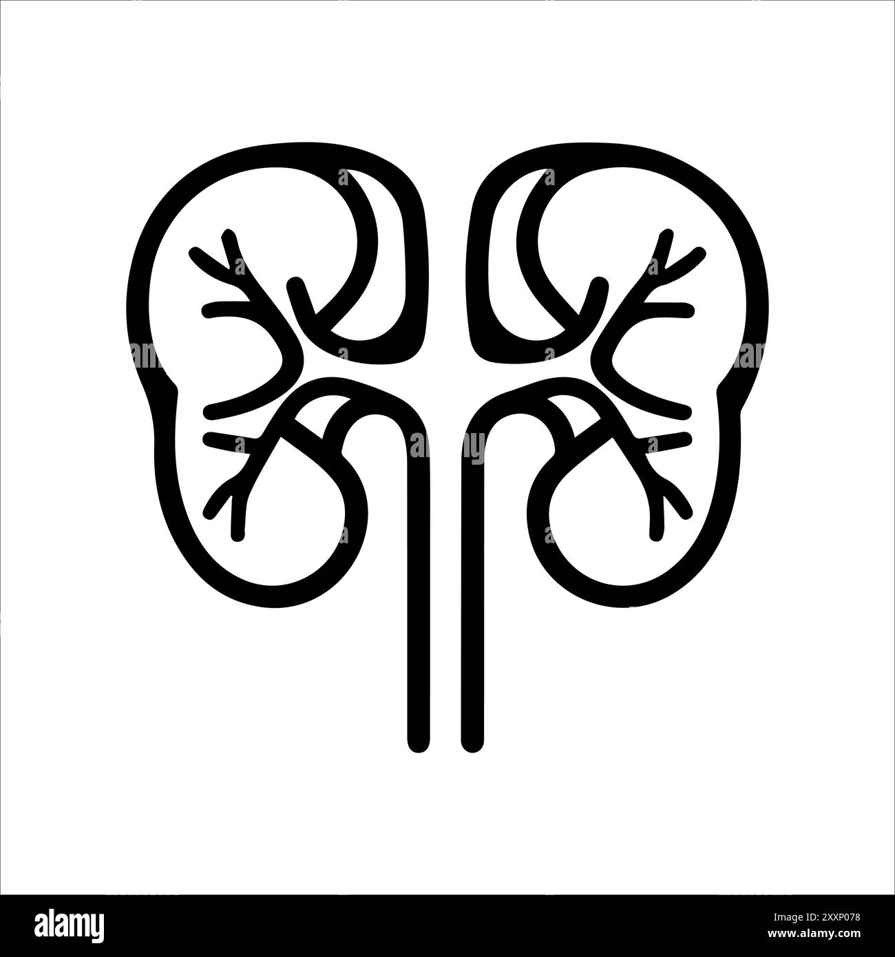 Kidneys icon or modern line symbol. Vector line art and icon design ...