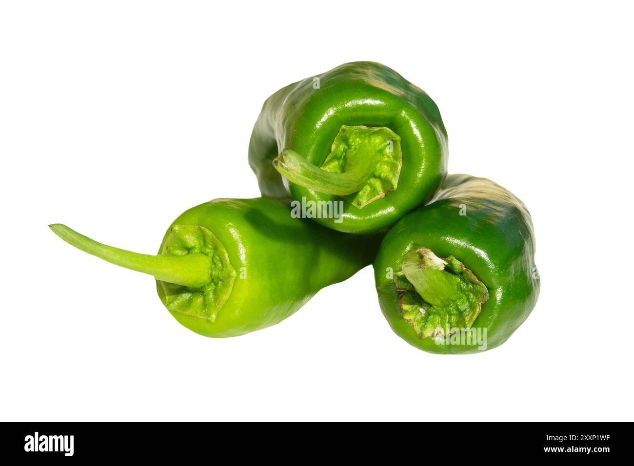 Green peper on the white background Stock Photo - Alamy