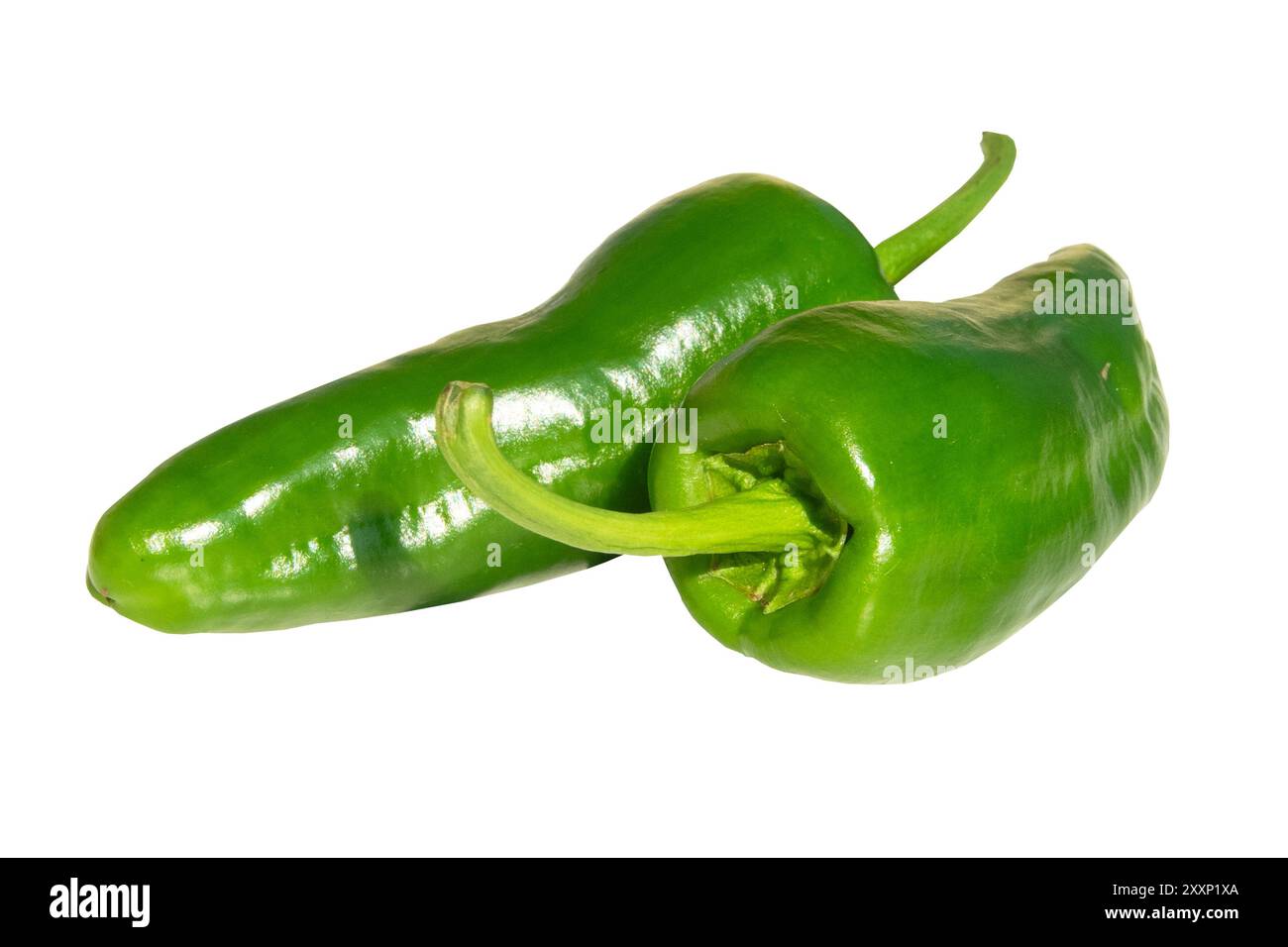 Green peper on the white background Stock Photo - Alamy