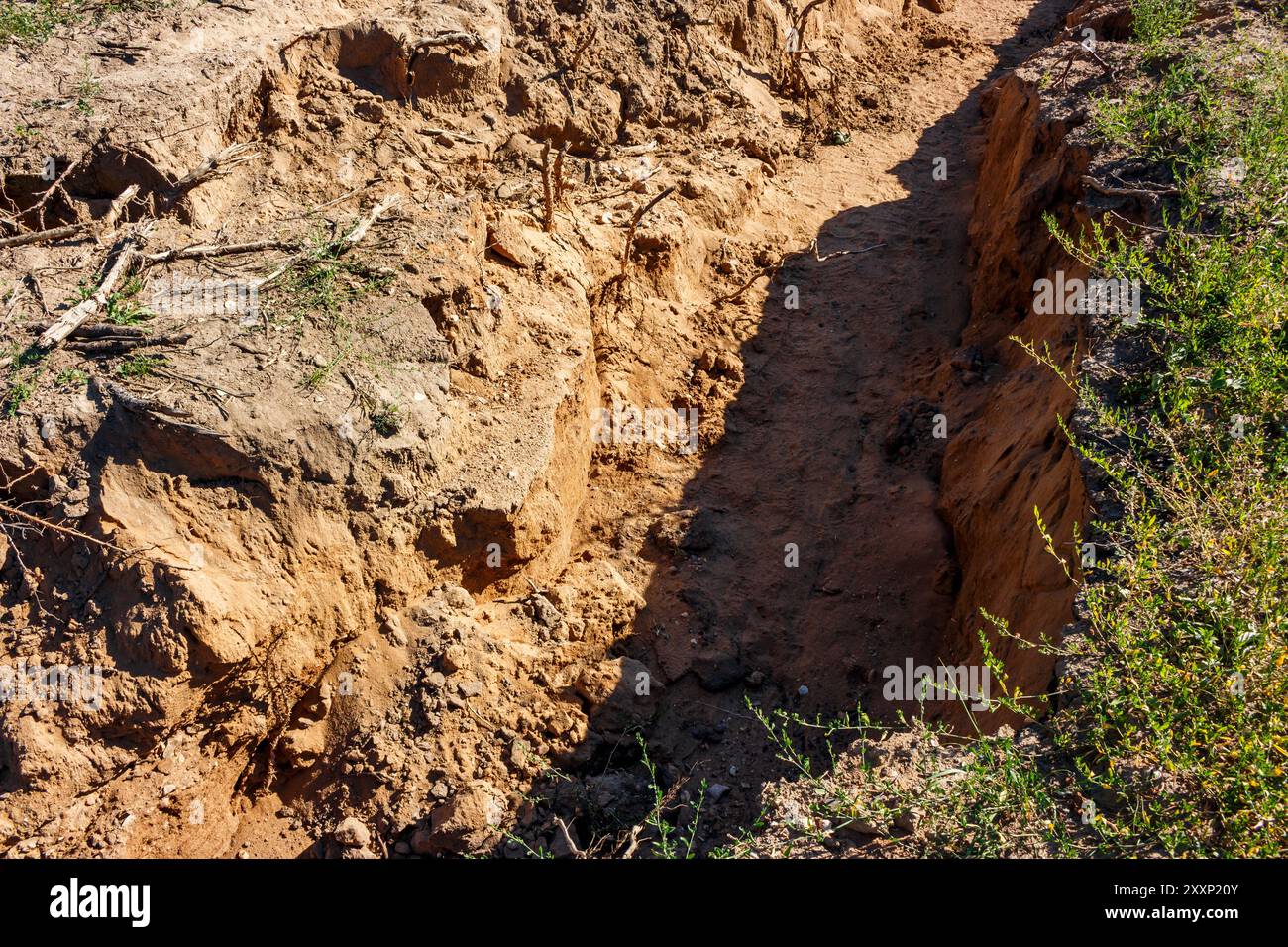 Erosion of sandy soil, the beginning of the formation of a ravine on a ...
