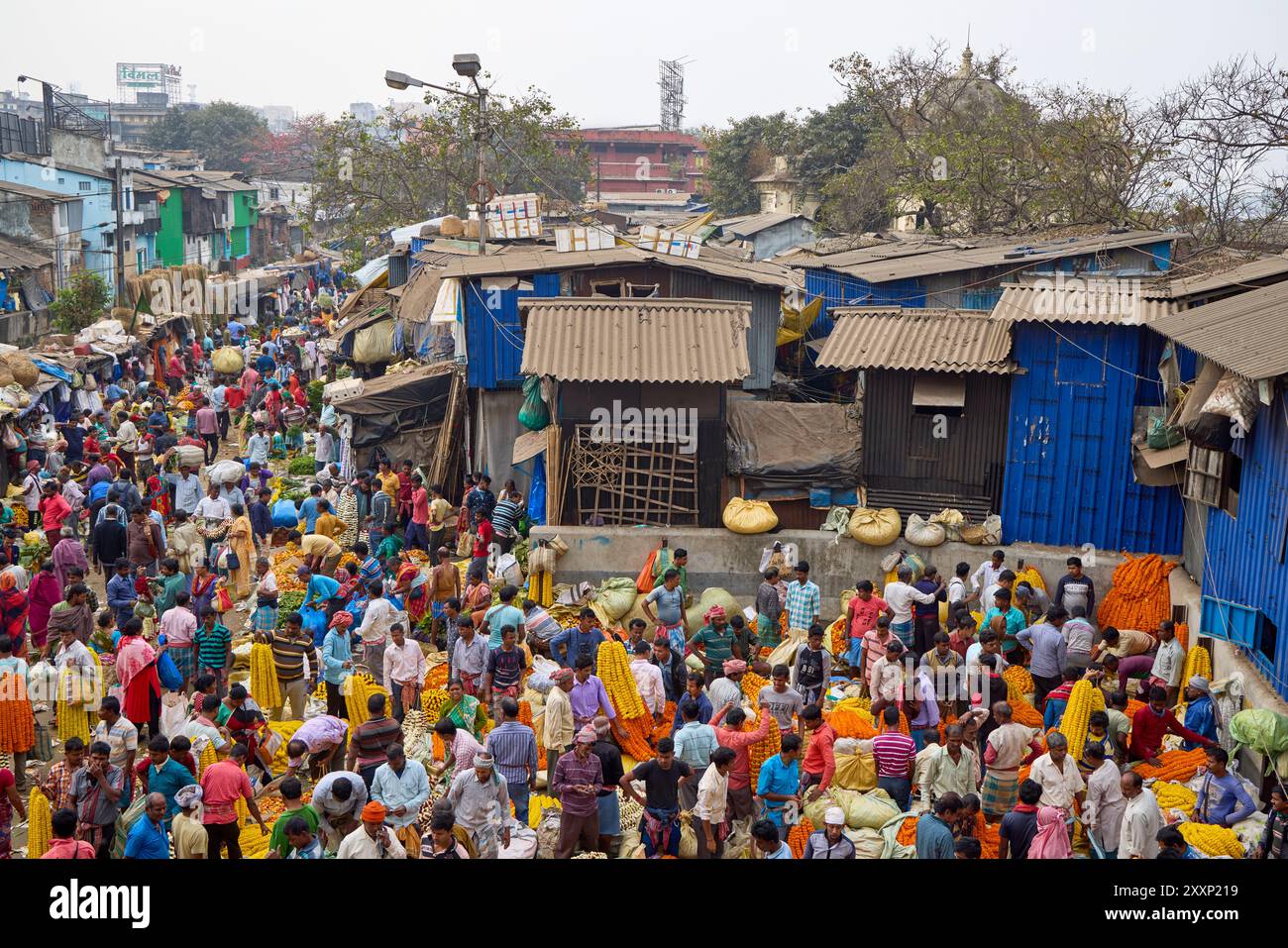 Busy, colourful Howrah Flower Market in Strand Bank Road, Kolkata ...