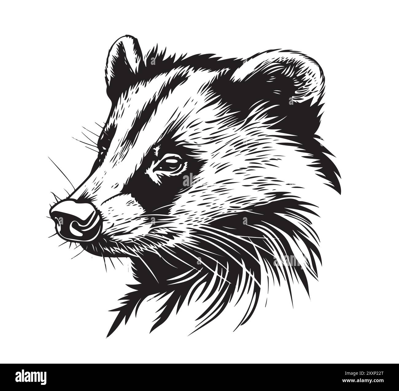 Badger outline hi-res stock photography and images - Alamy