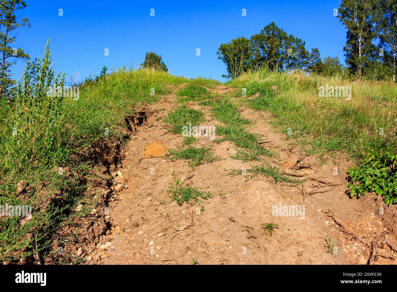 Bright landscape with a path leading to a hill Stock Photo - Alamy
