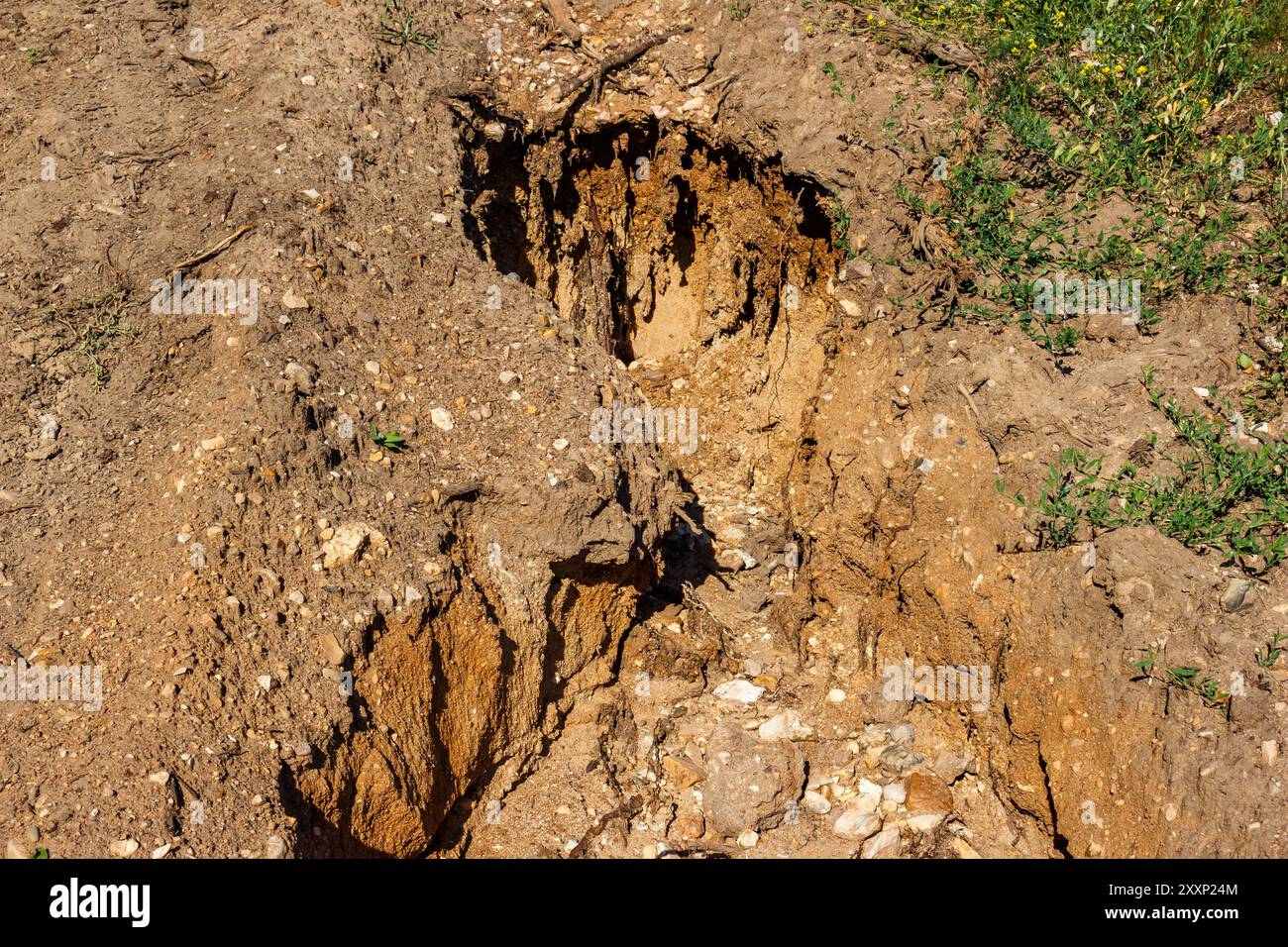 Rain erosion of sandy soil on a slope Stock Photo - Alamy