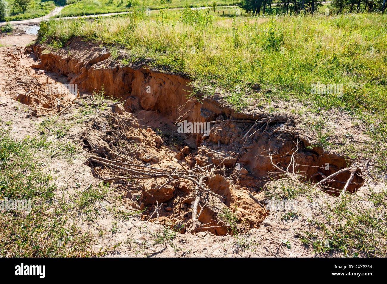 Formation of a ravine on a sandy slope due to erosion by water flows ...