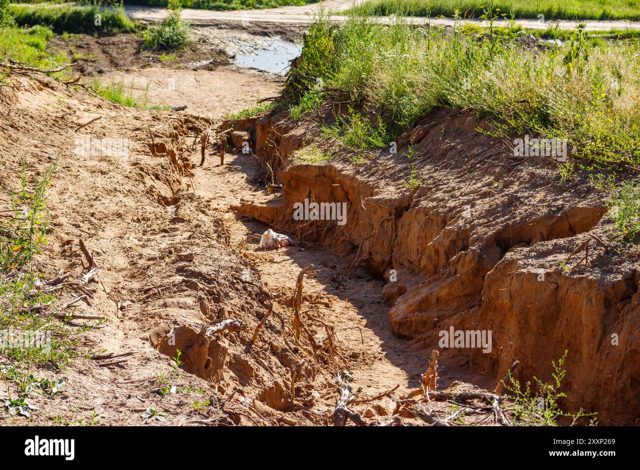 Formation of a ravine on a sandy slope due to erosion by water flows ...