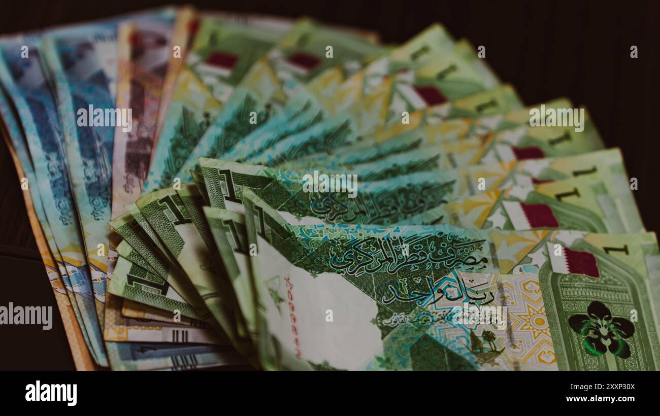 Qatari one riyal banknote closeup macro fragment, Qatar money close up ...