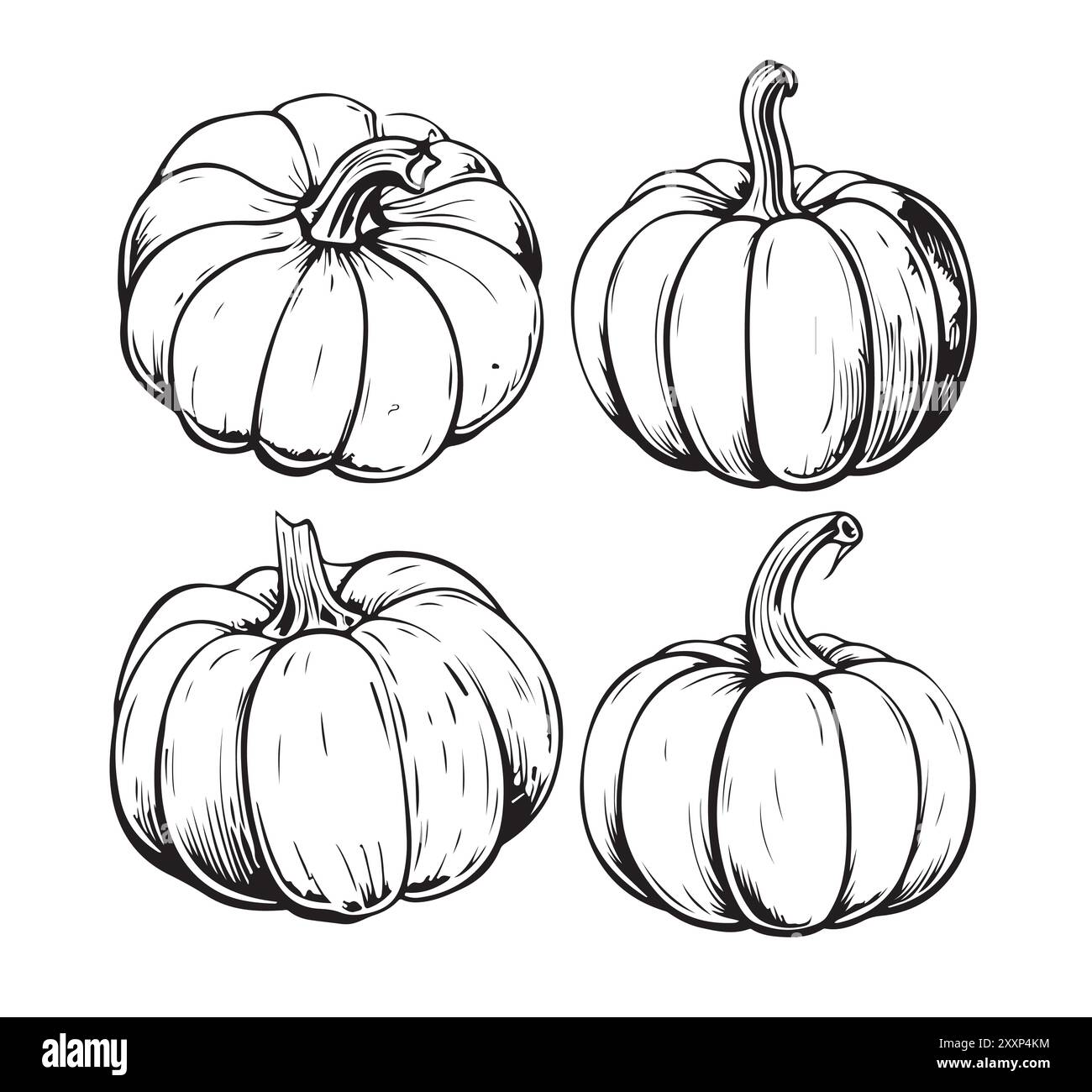 Collection of graphic hand drawn ink pumpkins for your design Stock ...