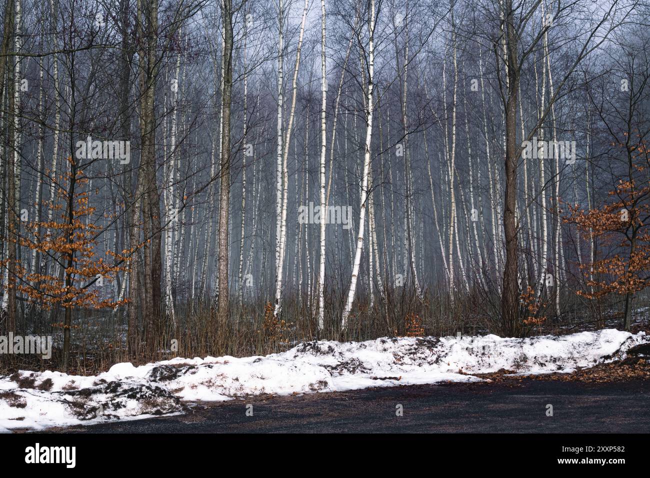 Gate in front of night club in Gamla Vaster area in Malmo, Sweden Stock ...