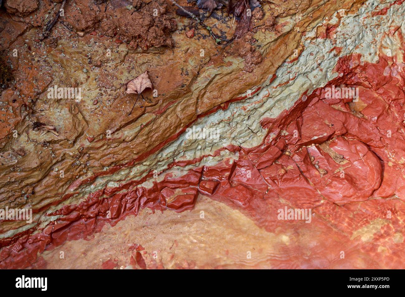 Texture of variegated red-blue clay exposed along the banks of a stream ...