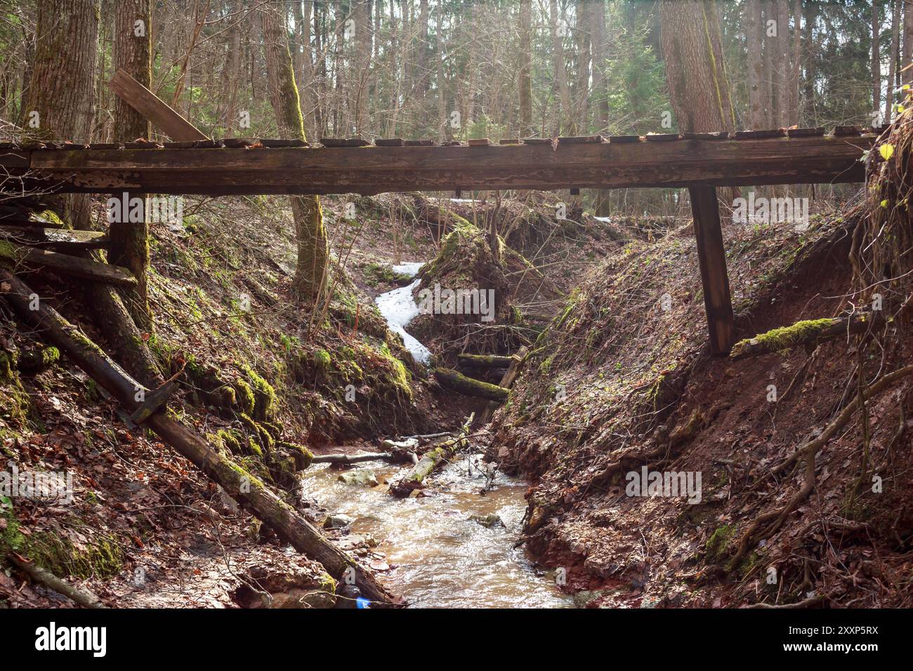 Pedestrian bridge spanning a ravine with a stream Stock Photo - Alamy