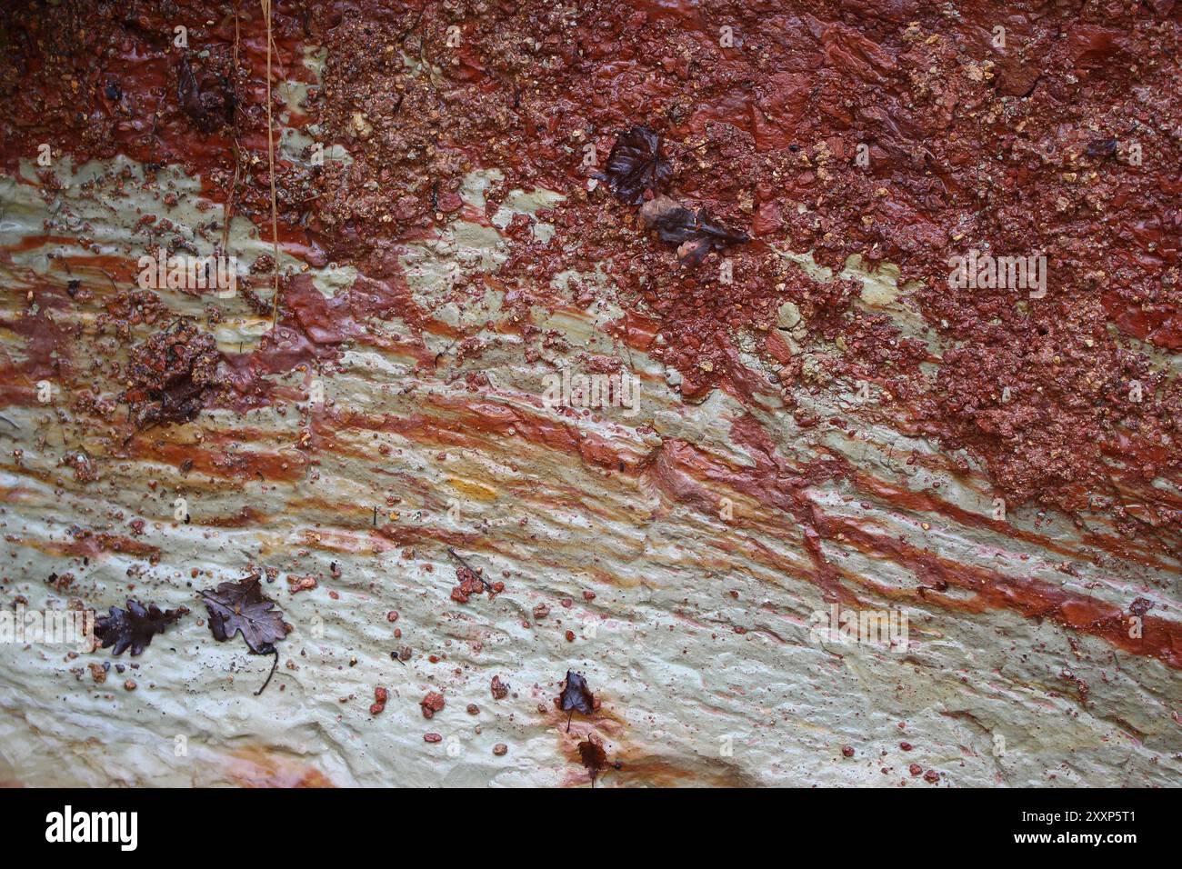 Texture of variegated red-blue clay exposed along the banks of a stream ...