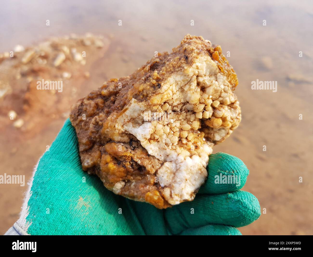 Quartz-chalcedony nodule with a brush of milky quartz in hand, field ...