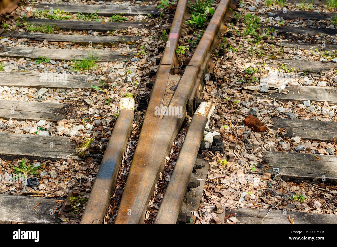 Old abandoned railway tracks with switches Stock Photo - Alamy