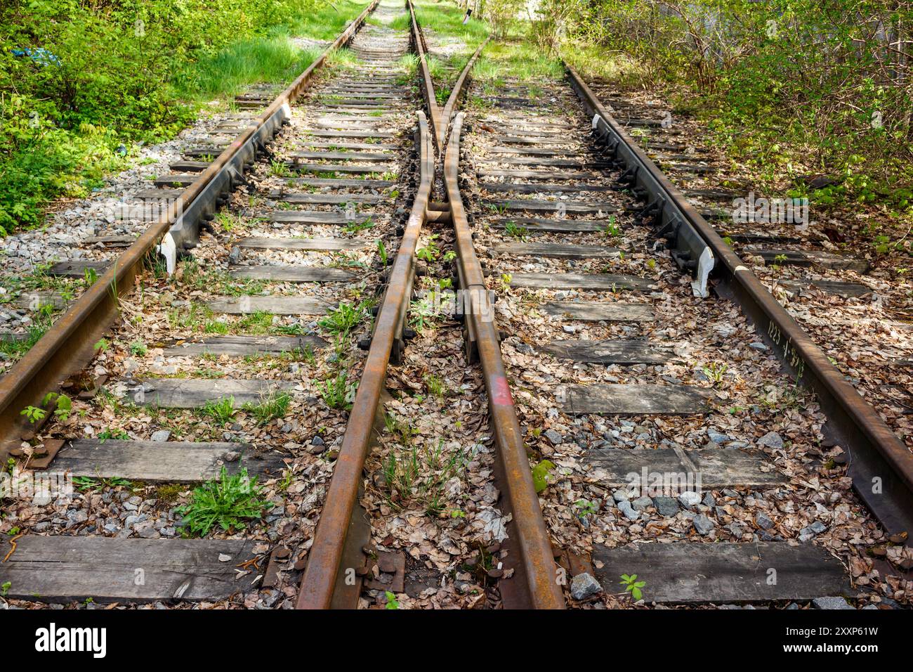 Old abandoned railway tracks with switches Stock Photo - Alamy