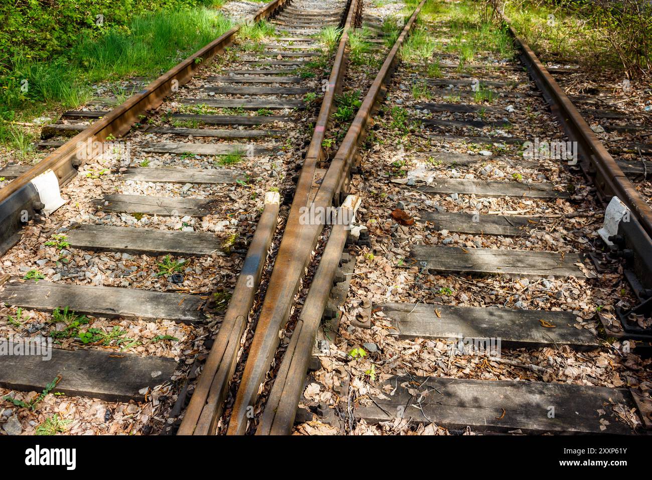 Old abandoned railway tracks with switches Stock Photo - Alamy