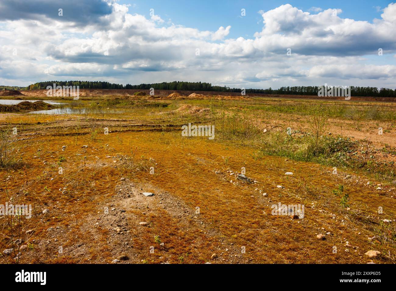 Landscape of an overgrown sand quarry after mining Stock Photo - Alamy