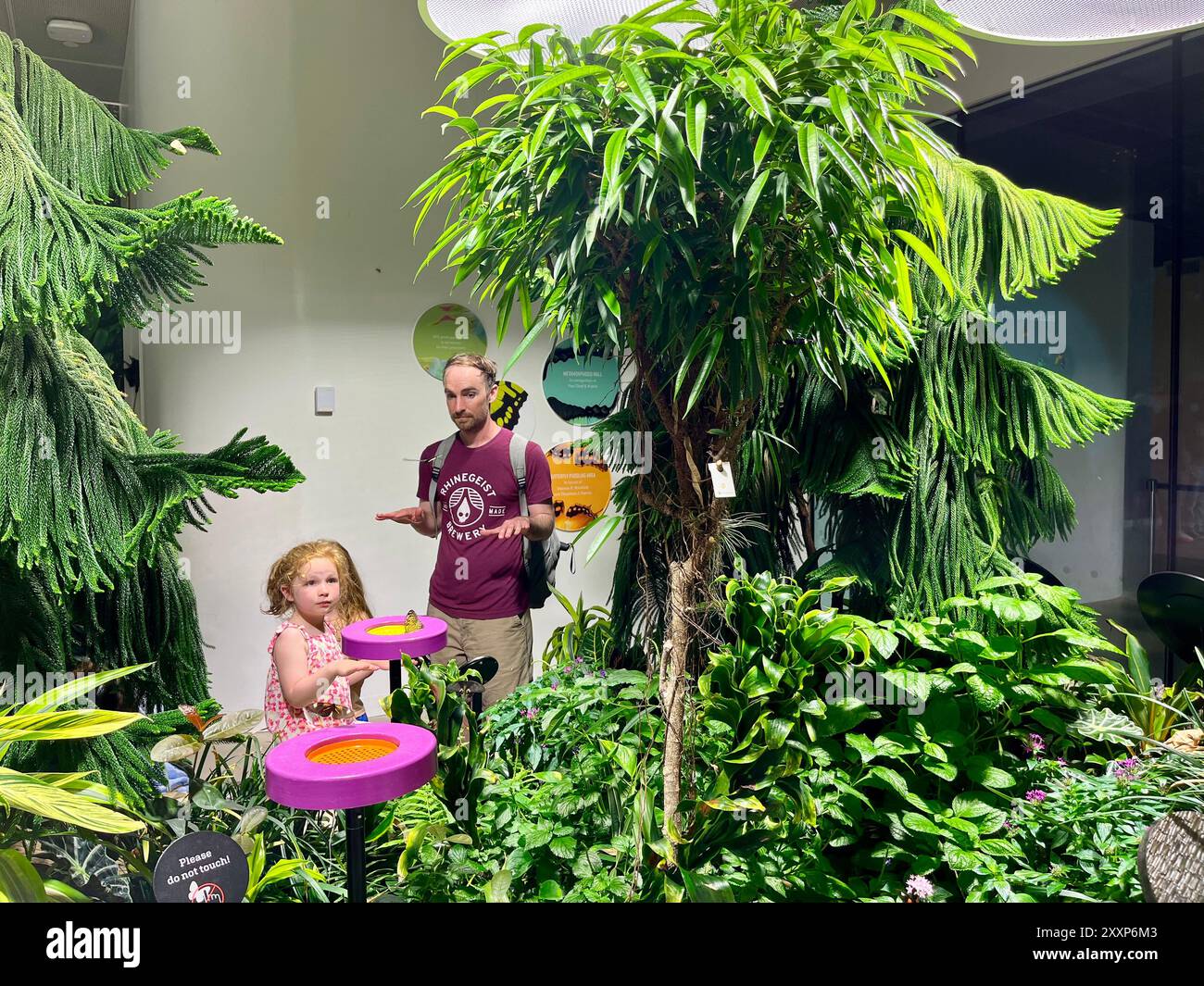 Butterfly exhibition hi-res stock photography and images - Alamy