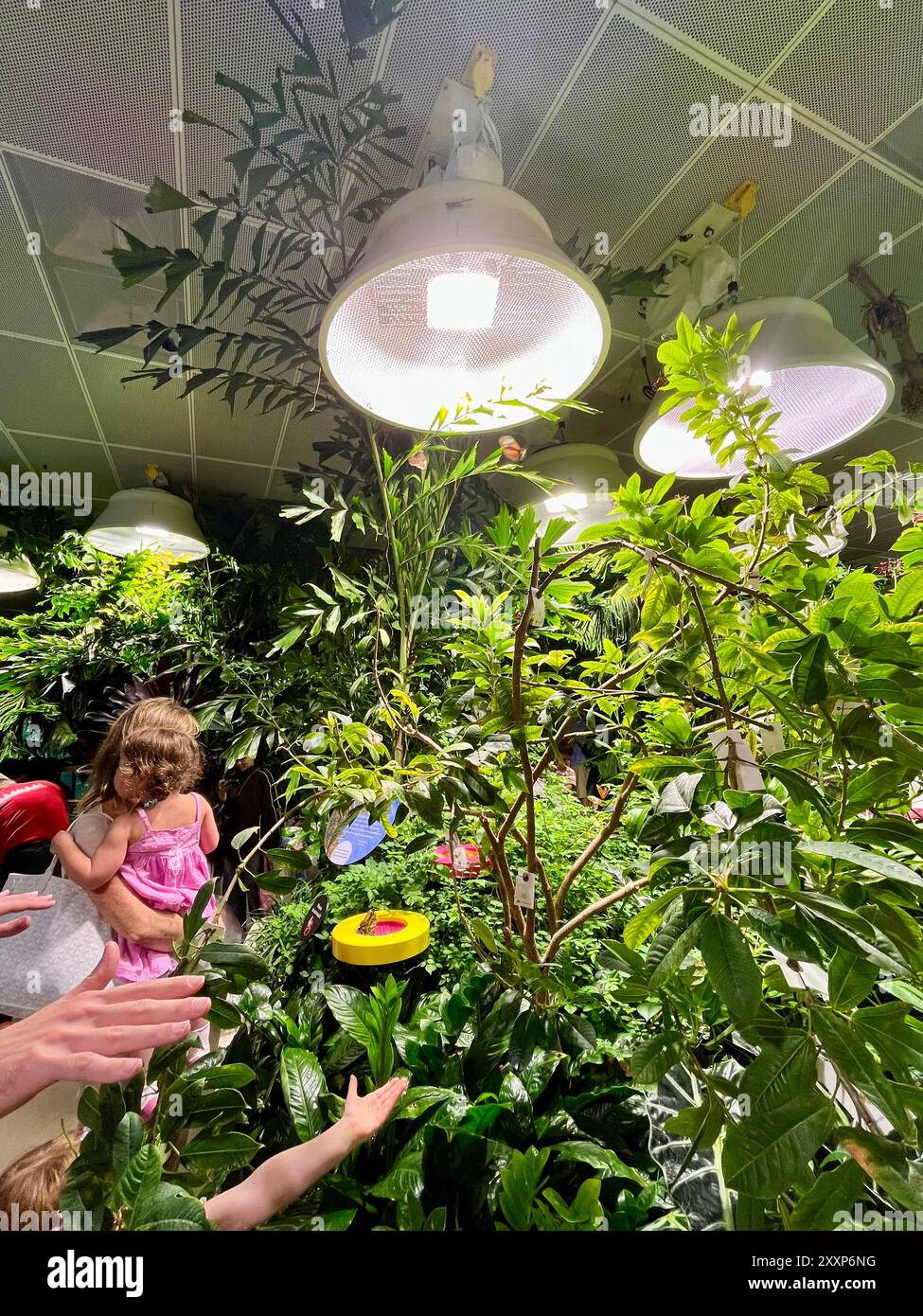 Butterfly exhibition hi-res stock photography and images - Alamy