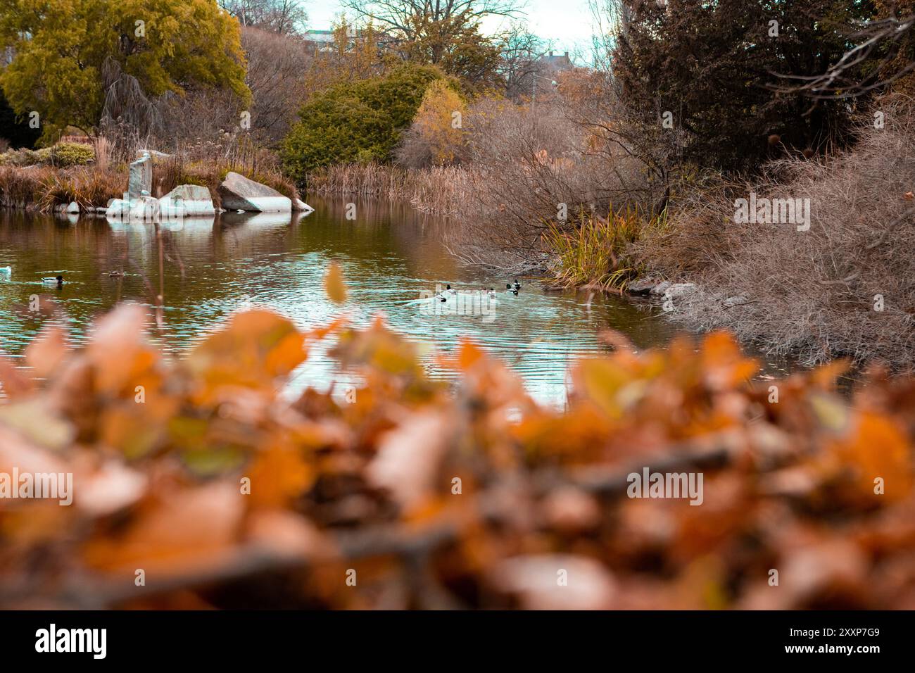 Slottstradgarden park in malmo hi-res stock photography and images - Alamy