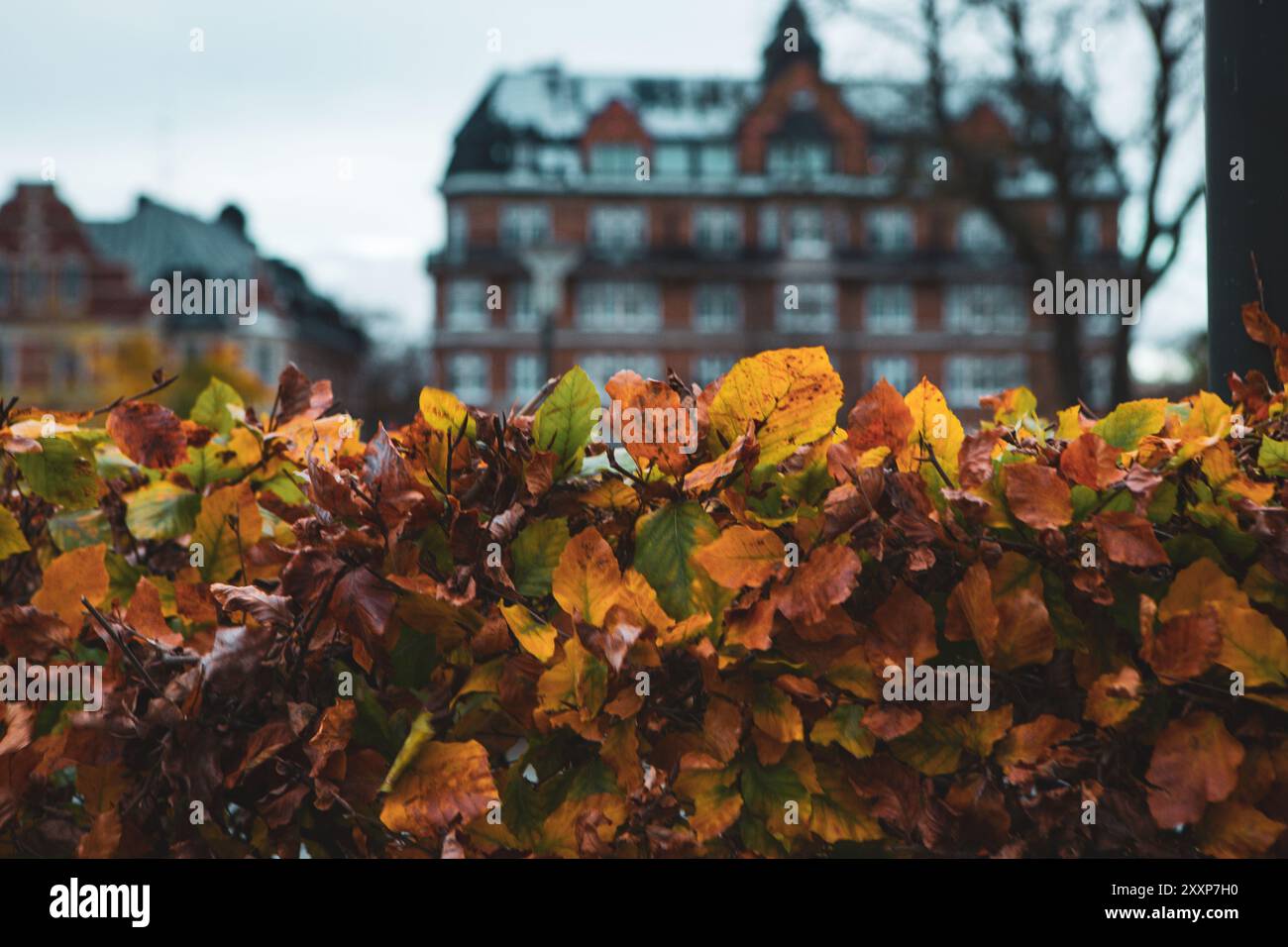 Slottstradgarden park in malmo hi-res stock photography and images - Alamy